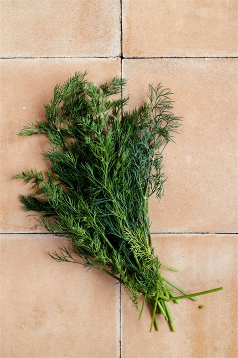 35 Best Substitutes For Dill Fresh And Dried Ideas Raepublic