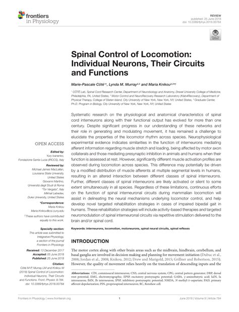 Pdf Spinal Control Of Locomotion Individual Neurons Their Circuits