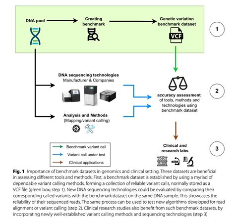 Sina Majidian On Linkedin Genomebiology Bioinformatics