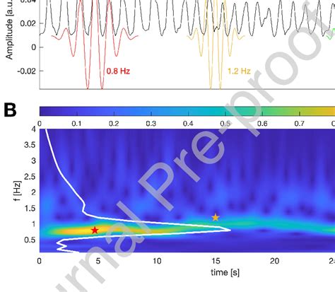Computation Of A Time Frequency Cwt Map Using Complex Morlet Wavelets