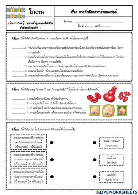 ใบงานเรื่องการล… Free Interactive Worksheets 3738216