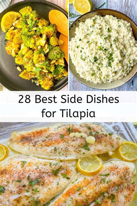 What To Eat With Tilapia Best Sides And Pairings 2026 My Popular Kitchen
