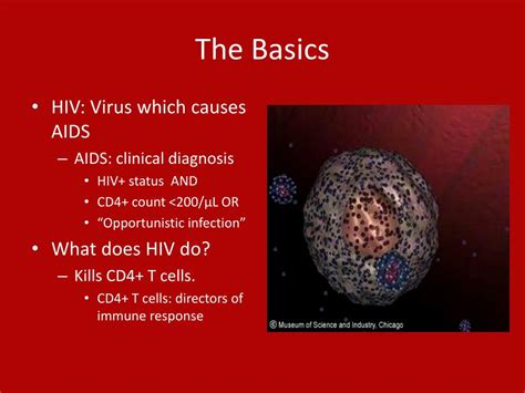 Ppt Hiv Aids Basics Powerpoint Presentation Free Download Id 373158