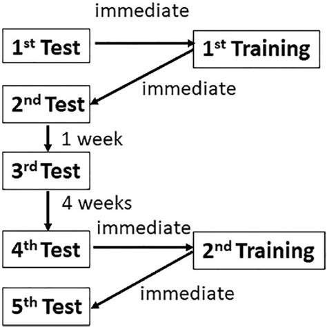 Flow Chart Of Experiment Comprising Five Tests And Two Training Sessions Download Scientific