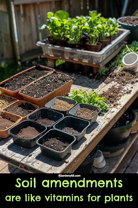 Vegetable Garden Soil Amendments And Why You Need Them Gardensall