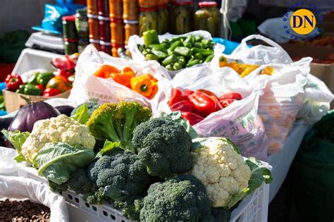 “Намрын ногоон өдрүүд 2025” Төв цэнгэлдэх хүрээлэнд эхэллээ