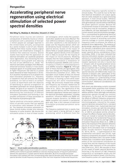 Pdf Accelerating Peripheral Nerve Regeneration Using Electrical Stimulation Of Selected Power
