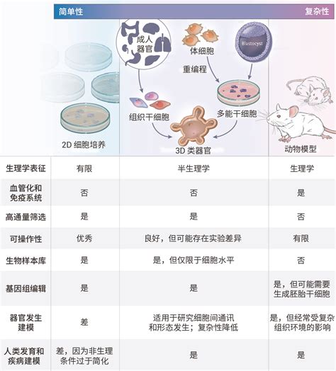 Fda 重磅∶ 告别动物试验 Ai 模型 Or 类器官测试 药物评估或将迎来重大转变 Mce 科学研究 社区 小桔灯网