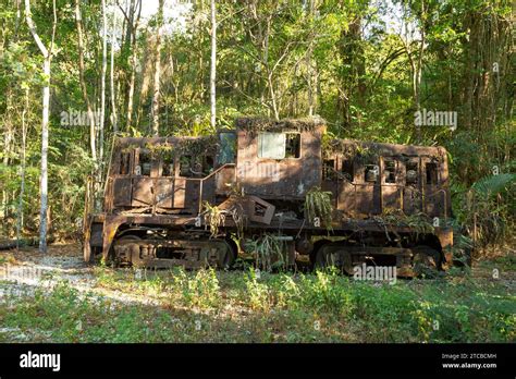 Former Nswgr 79 Class Locomotive Abandoned In The Forest On Christmas