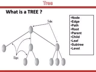 PPT Tree Improvement PowerPoint Presentation Free Download ID 2876773