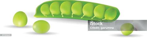 완두콩 포드입니다 야채는 흰색 바탕에 고립 된 3 차원 벡터 아이콘 0명에 대한 스톡 벡터 아트 및 기타 이미지 0명 몰도바 바로 먹을 수 있는 Istock