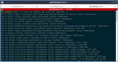 Its Time To Introduce You To The Terminator • Linux Tips