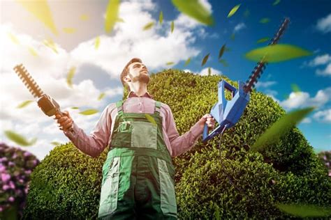 Tips To Use Your Hedge Trimmer Like A Pro