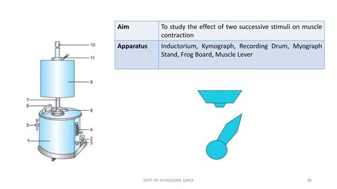 Experimental Physiology Introduction Pptx