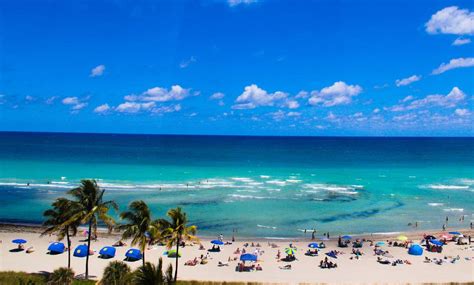 Praias Em Miami As 10 Mais Bonitas Pra Conhecer 2026 Dicas Da