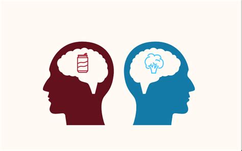 Does Your Brain Reflect Your Sex — Harvard Gazette