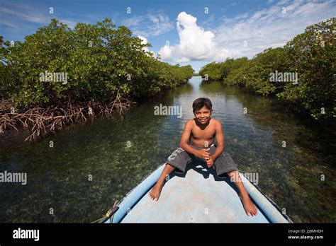 Panama Bocas Del Toro Mangrove Banque De Photographies Et Dimages à