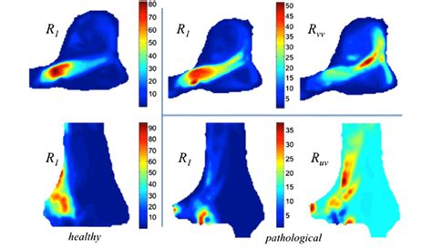 Unsteady Flow Regions Are Highlighted Through The Principal Reynolds Download Scientific