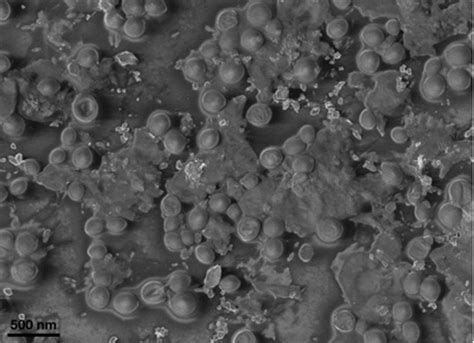 Microcapsule Preparation Method Thereof And Application Of