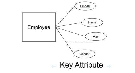 Types Of Attributes In Dbms