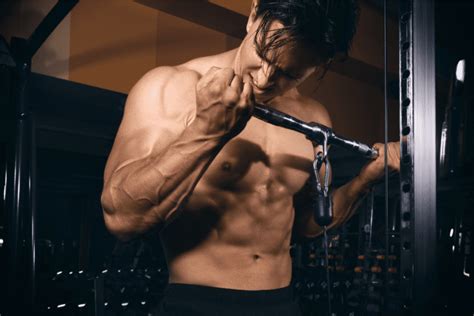 Dumbbell Forearm Twist How To Muscles Worked Benefits Horton Barbell
