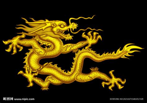 真龙设计图psd分层素材psd分层素材设计图库昵图网