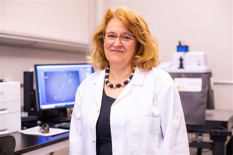 Christopher Paladino Posted On Linkedin