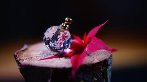 Rsi Divergence Indicator