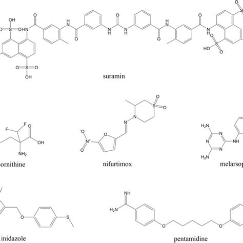 General Experimental Workflow For Analysis In Metabolomics Download Scientific Diagram