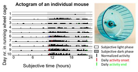 Running Wheel Activity Rodent Behavioral Testing Neurology Cro