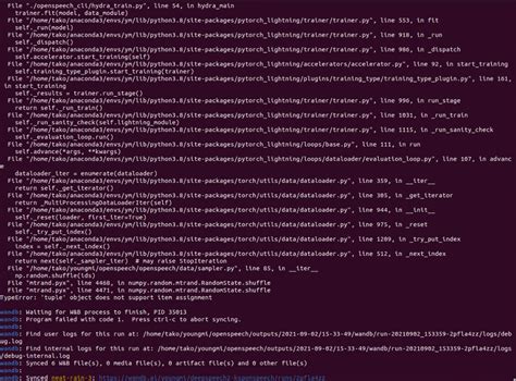 Validation Sanity Check Error Executing Job With Overrides · Issue 87