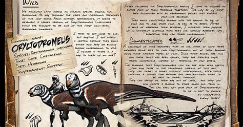 Oryctodromeus Dossier Speedy Pack Herbivore Digs Functional Tunnels Album On Imgur