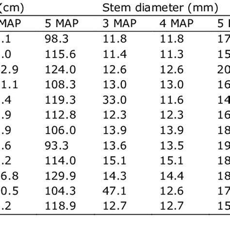 Petiole Orientation Of Leaf Cassava Morphology A Inclined Downwards