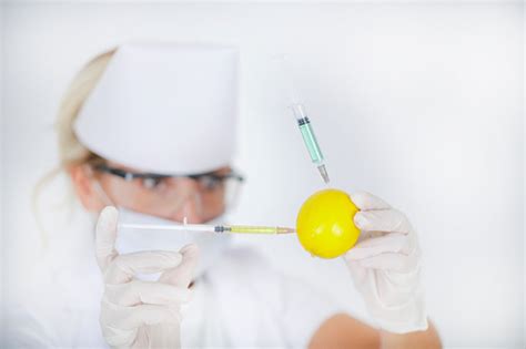 레몬에 주사기 하 두 주사 유전자 변형된 식품 개념입니다 Dna에 대한 스톡 사진 및 기타 이미지 Dna Stem 주제 개발 Istock