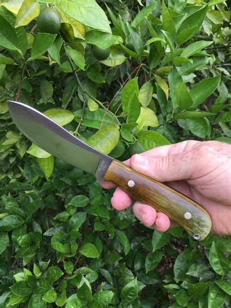 Knives For Processing Deer