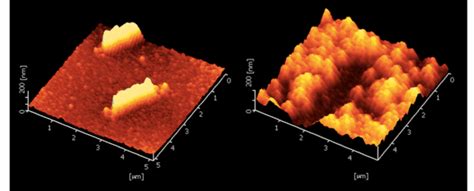 Afm Image Of Bacteria Imprinted Polymer Before A And After B Download Scientific Diagram