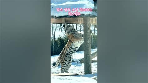 건강만 해다오 한and백두♡ Youtube