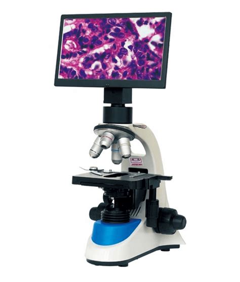 Explore The Microscopic World With Biological Microscope
