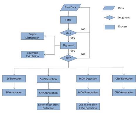 The Pipeline Of Standard Bioinformatics Analysis The Pipeline Based On Download Scientific
