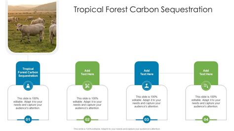 Tropical Forest Carbon Sequestration Ppt Template Acp Ppt Slide