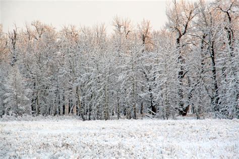 捕光捉影下雪了 Let It Snow 郭端翼报
