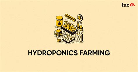 Hydroponics Farming Archives Inc42 Media