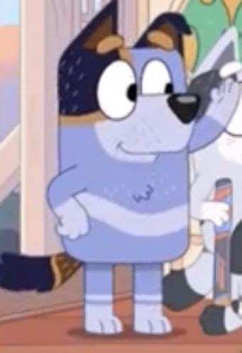 460 Bandit “bluey” Ideas To Save Today Bandit Heeler Bingo Funny