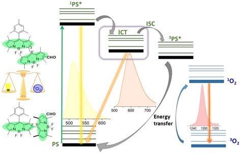 Ijms Free Full Text Formylation As A Chemical Tool To Modulate The Performance Of