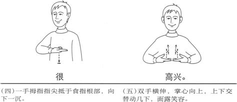见到您很高兴。 奥运手语
