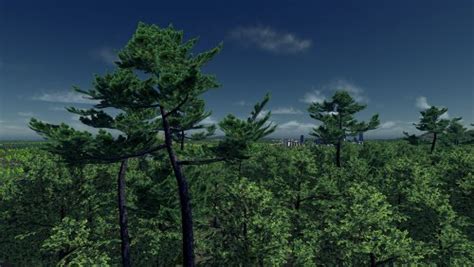 Scots Pine Tree Csl Props Simtropolis