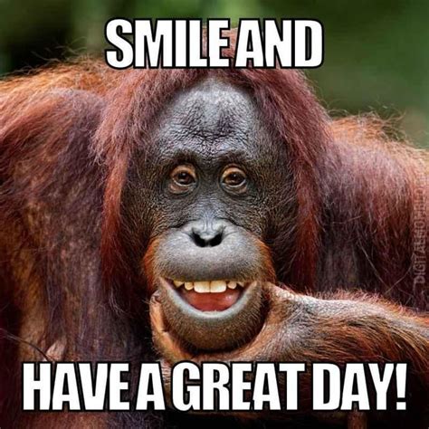 Day 456 Of 30 Monkey Meme Posts Before My Debut Rvirtualyoutubers