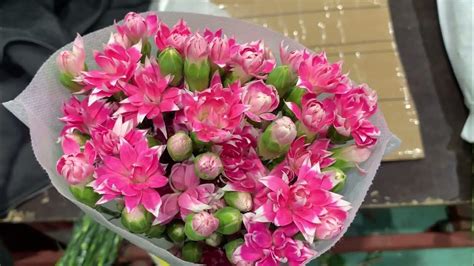 스타 스프레이 생화 꽃집 꽃집창업 꽃값 온라인꽃시장 온라인꽃도매 인터넷꽃시장 인터넷꽃도매 서울꽃시장 꽃농장 꽃배송 생화배송 생화도매 생화택배 꽃배달 생화배달 생화주문 생화