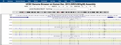 Genome Browser VCF Tabix Track Format