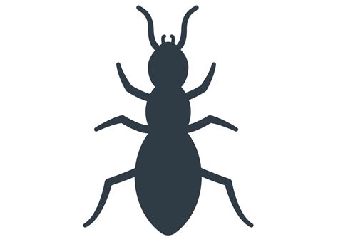 Tap To Reveal Pubic Lice And Scabies Symptoms Smart Sex Ed 2 0